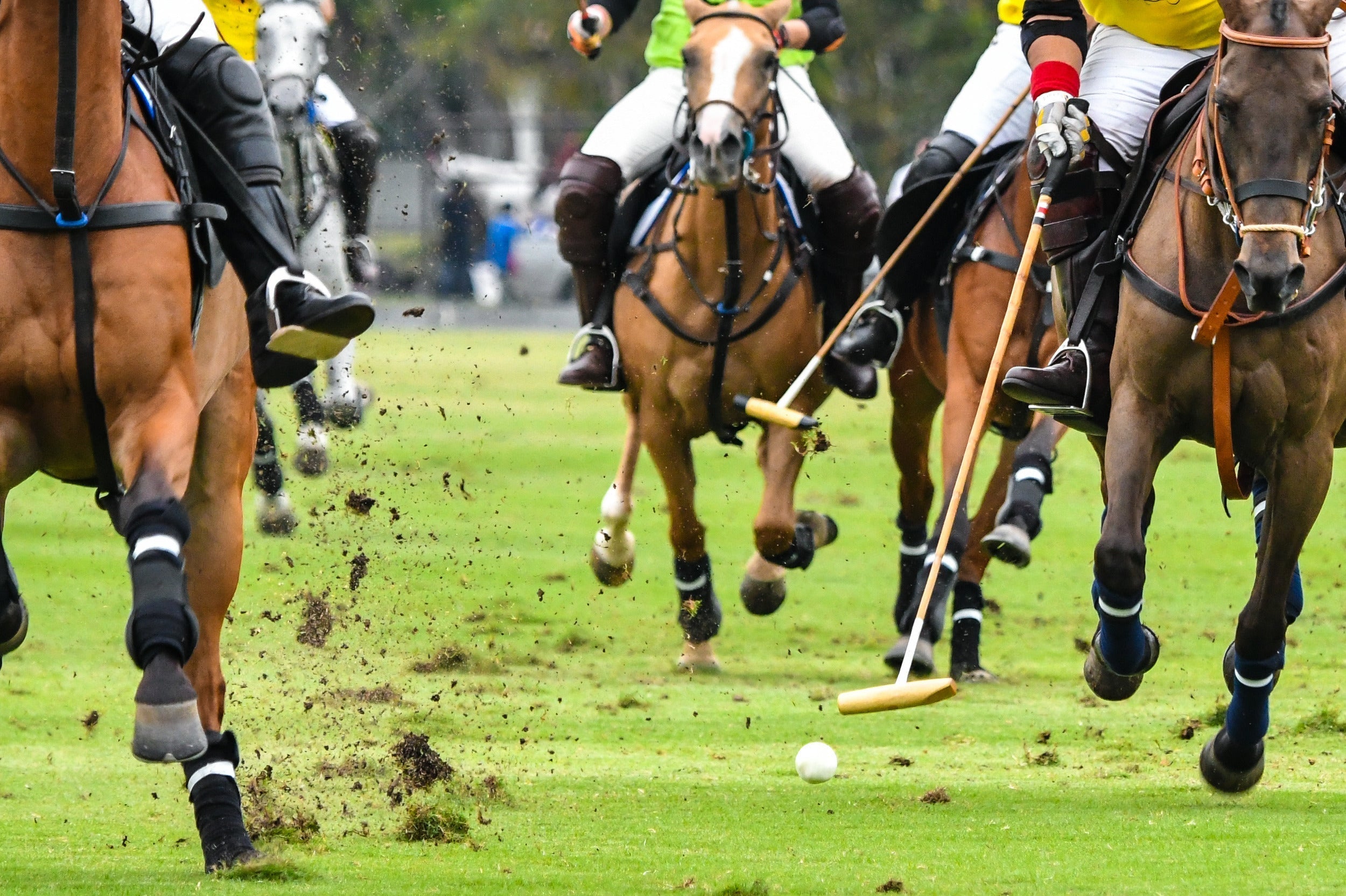 The Timeless Legacy of Chogān | Persian Polo & Its Influence
